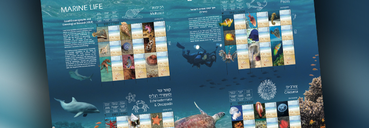 WOPA+ | Worldwide Stamps, Coins Banknotes and Accessories for ...